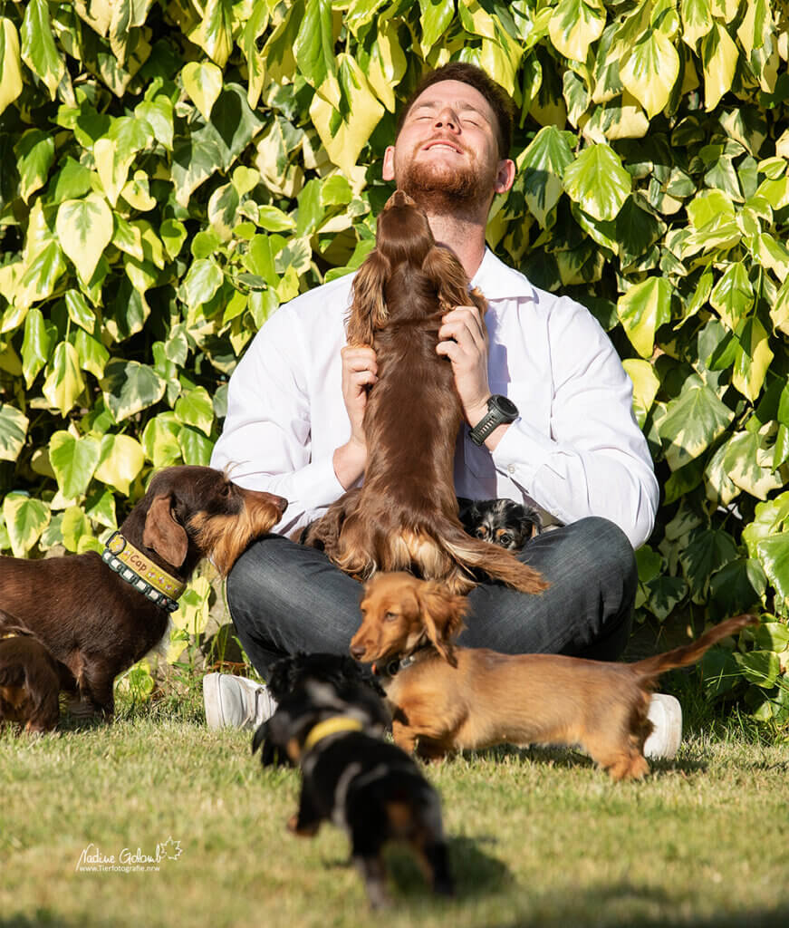 Kaninchenteckel und Zwerglanghaardackel Vom Gut Heitkamp
